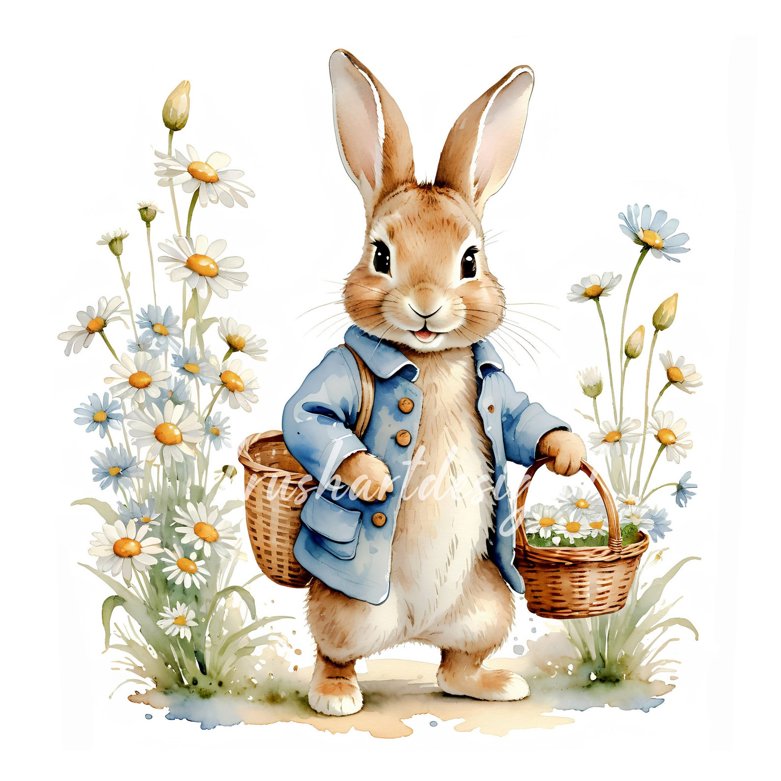 12 Peter Rabbit and Daisies Clipart, Beatrix Potter Style (JPG) - Etsy