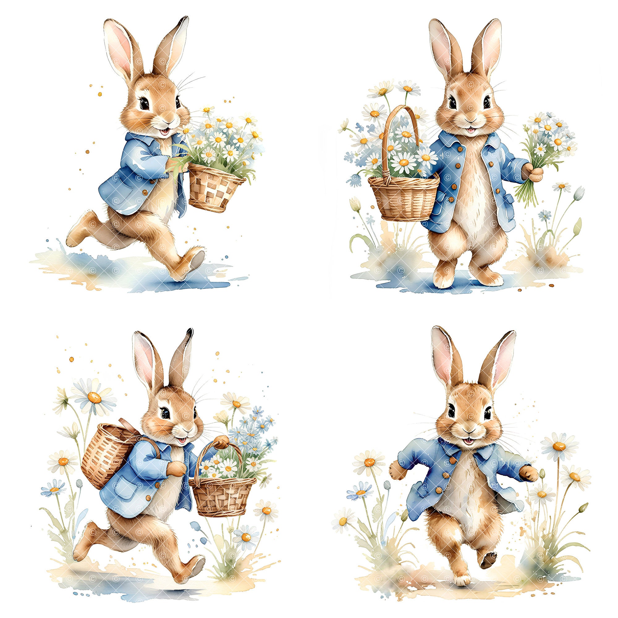 12 Peter Rabbit and Daisies Clipart, Beatrix Potter Style (JPG) - Etsy