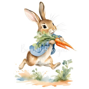 12 Peter Rabbit & Carrot Clipart, Beatrix Potter Style, Watercolor ...