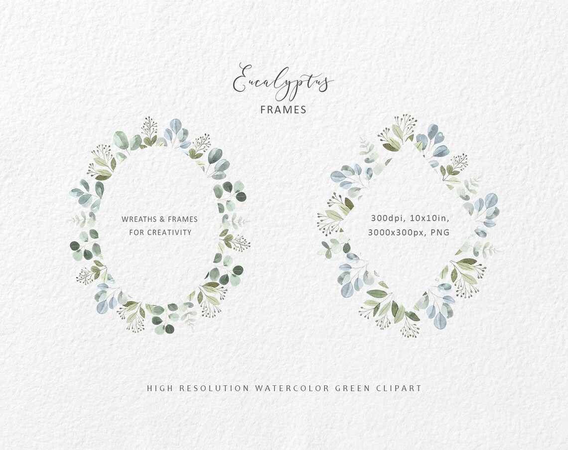 Eucalyptus Frames Clipart Green Frames Wreath Clipart - Etsy Australia