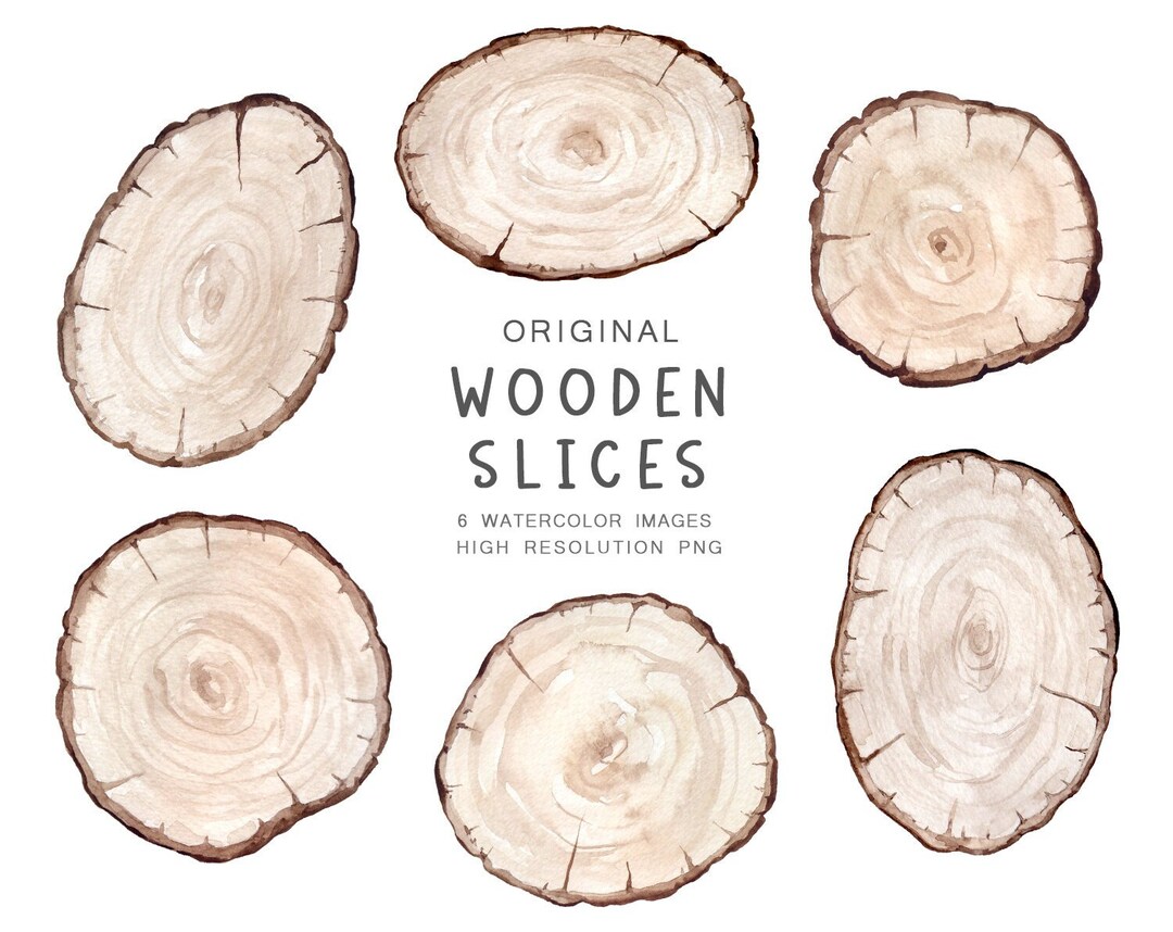 Original Watercolor Wood Slices, Wood Slice, Tree Clipart, Wooden Frame ...