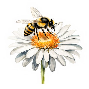 12 Flower and Bee Clipart, Flower Clipart, Bee Clipart, High Quality ...