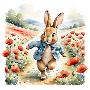 11 Peter Rabbit in Poppies Clipart, Beatrix Potter Style, Summer ...