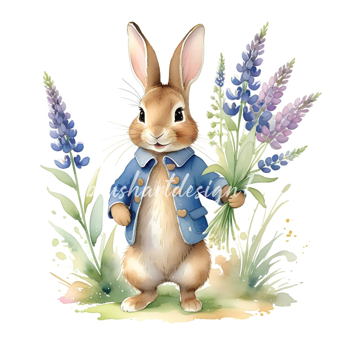 10 Peter Rabbit and Flowers Cliparts, Beatrix Potter Style, Spring ...