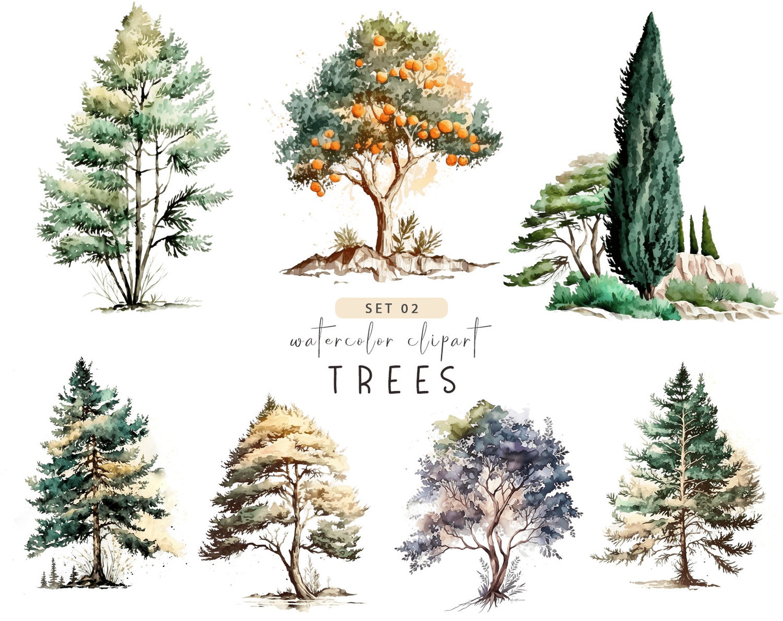 Watercolor Tree Clipart, Tree Png, Vintage, Cypress, Pine, Fir ...