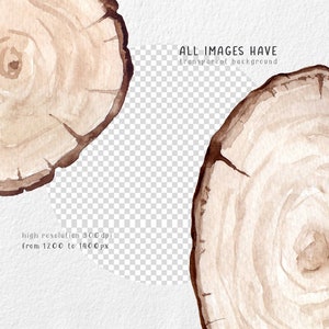 Watercolor Tree Slice Clipart- 24PNG, Wood Slice, Tree Clipart, Wooden ...