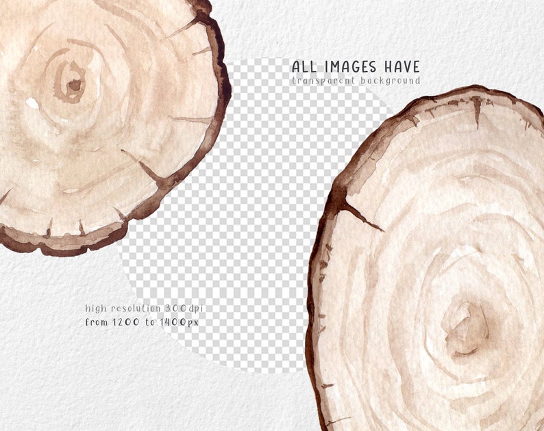 Watercolor Tree Slice Clipart- 24PNG, Wood Slice, Tree Clipart, Wooden ...