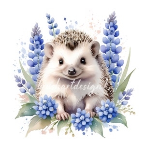 10 Cute Hedgehog, Spring Flowers Clipart, Forest Animal Clipart, Card ...