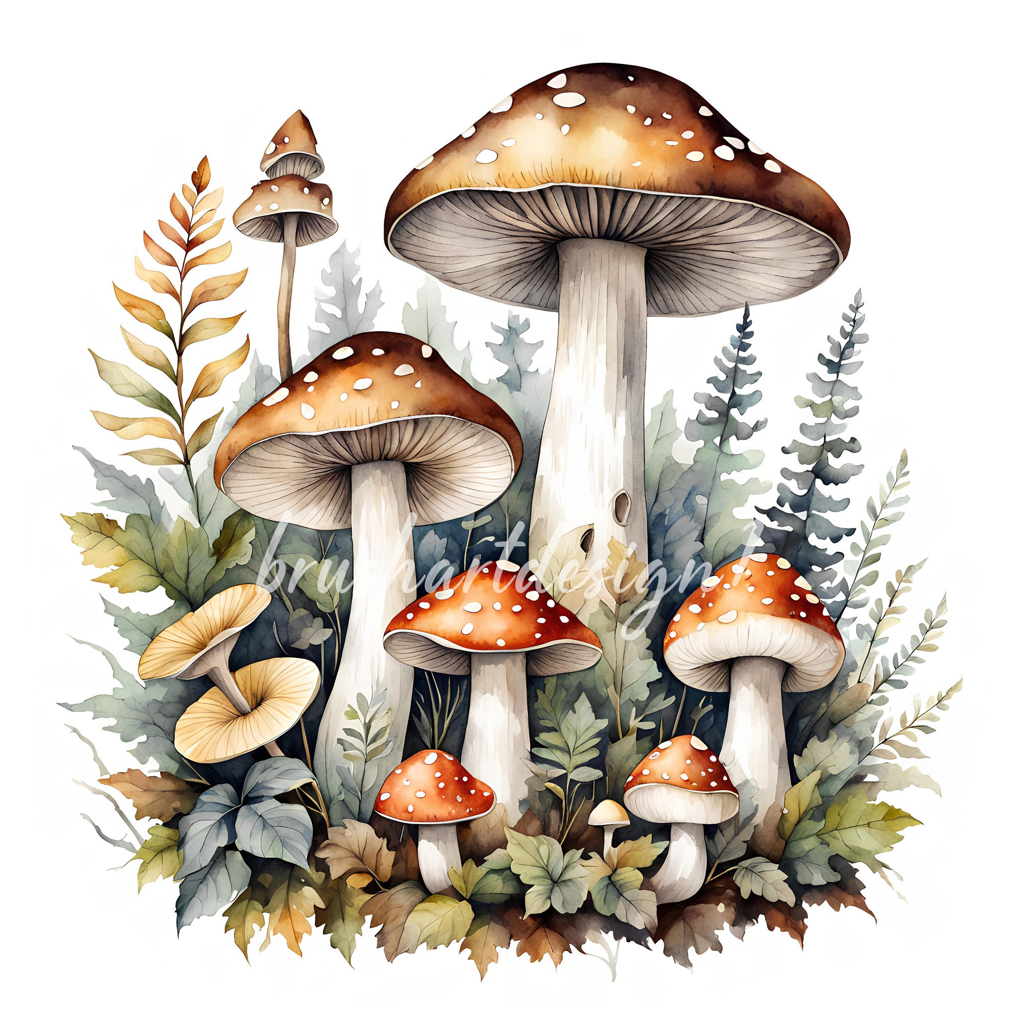 14 Watercolor Mushroom Clipart, Forest Fungi Images, JPG, Digital ...