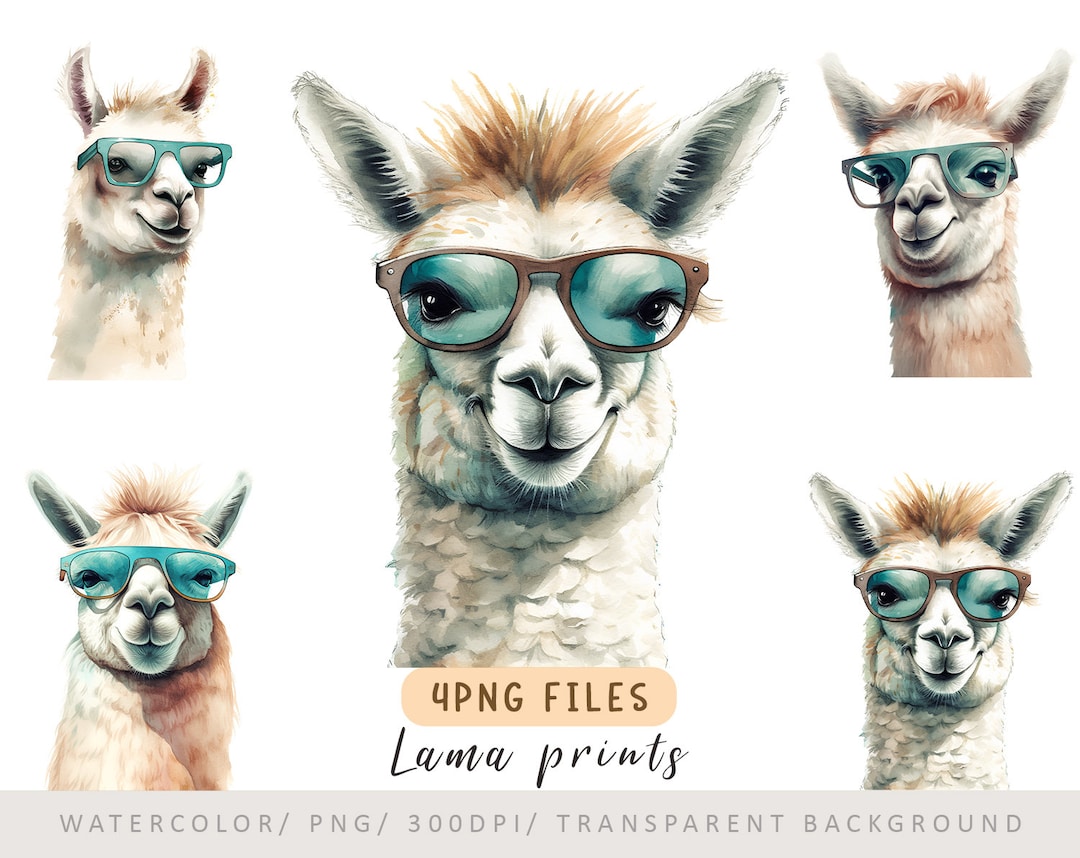 Watercolor Lama 4 PNG, Lama Print, Lama Clipart, Png Animal Portrait ...