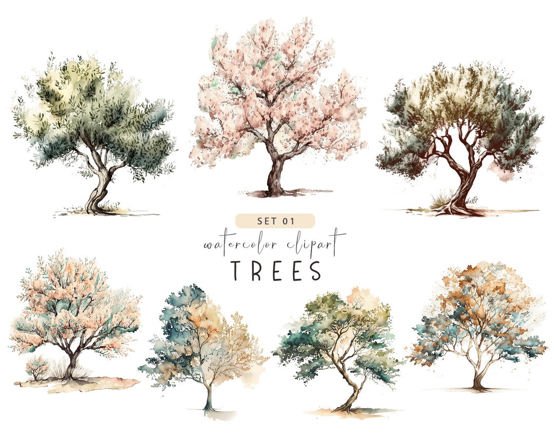 Watercolor Trees Clipart, Tree Clipart, Olive Tree, Almond Tree ...