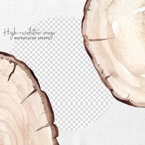 Original Watercolor Wood Slices, Wood Slice, Tree Clipart, Wooden Frame ...