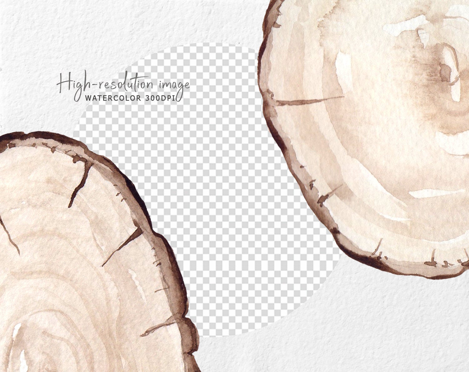 Original Watercolor Wood Slices, Wood Slice, Tree Clipart, Wooden Frame ...
