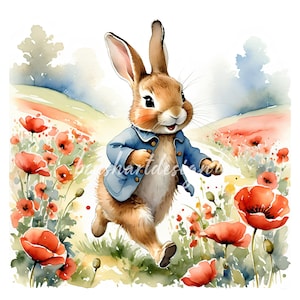 11 Peter Rabbit in Poppies Clipart, Beatrix Potter Style, Summer ...