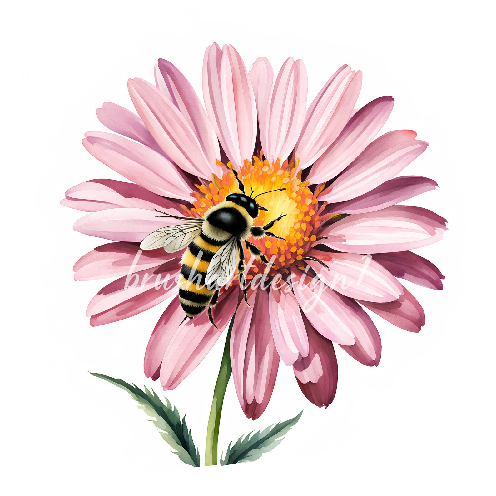 12 Flower and Bee Clipart, Flower Clipart, Bee Clipart, High Quality ...