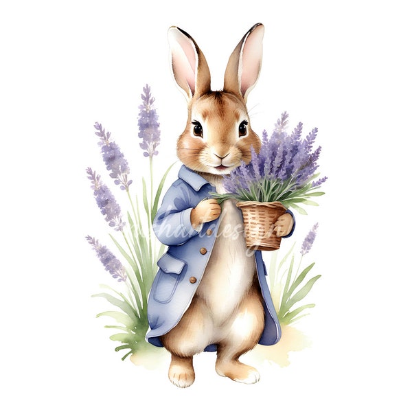 Rabbit Picture - Etsy