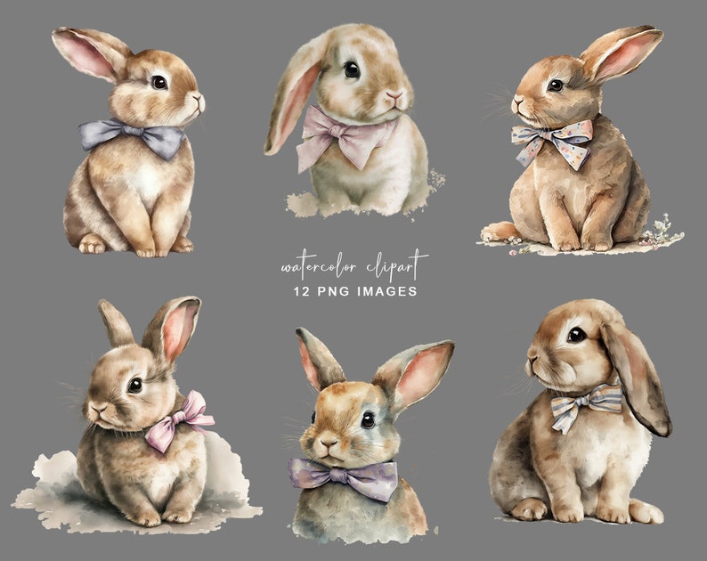 Watercolor Rabbit Clipart Rabbit Clipart Christmas 2023 - Etsy