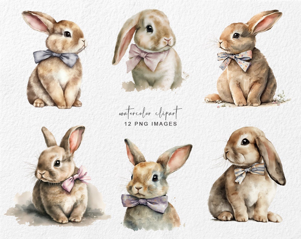 Watercolor Rabbit Clipart Rabbit Clipart Christmas 2023 - Etsy