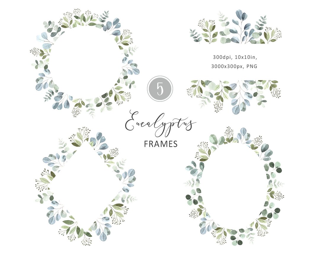 Eucalyptus Frames Clipart, Green Frames, Wreath Clipart, Watercolor ...