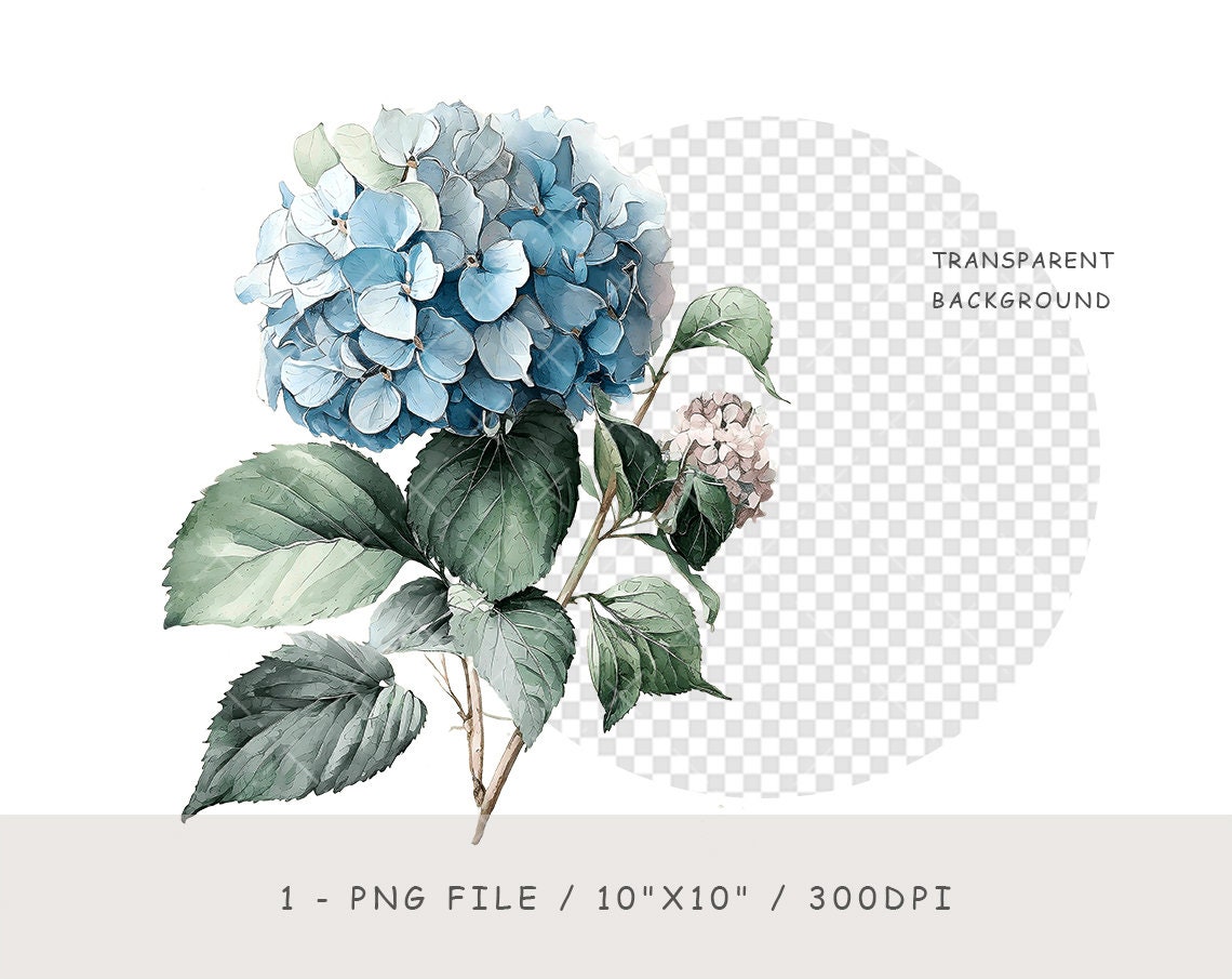 Hydrangea Print Blue Hydrangea Flower Drawing Hydrangea Wall - Etsy