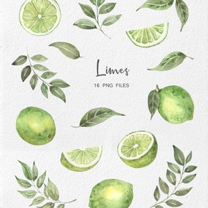 Limes Watercolor Clipart, Limes PNG, Fruits Clipart, Limes ...
