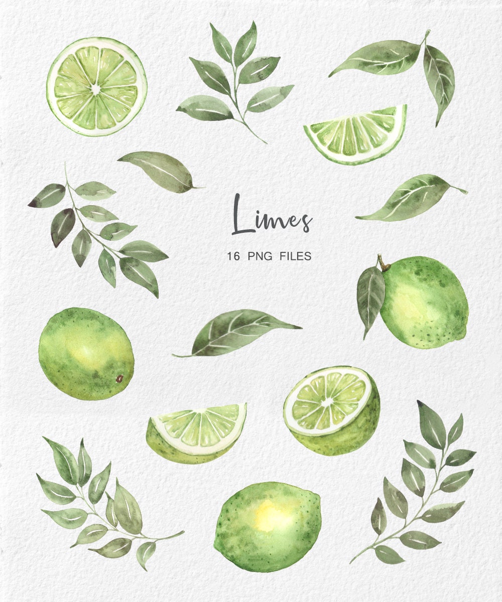 Limes Watercolor Clipart, Limes PNG, Fruits Clipart, Limes ...