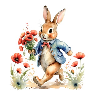 11 Peter Rabbit in Poppies Clipart, Beatrix Potter Style, Summer ...