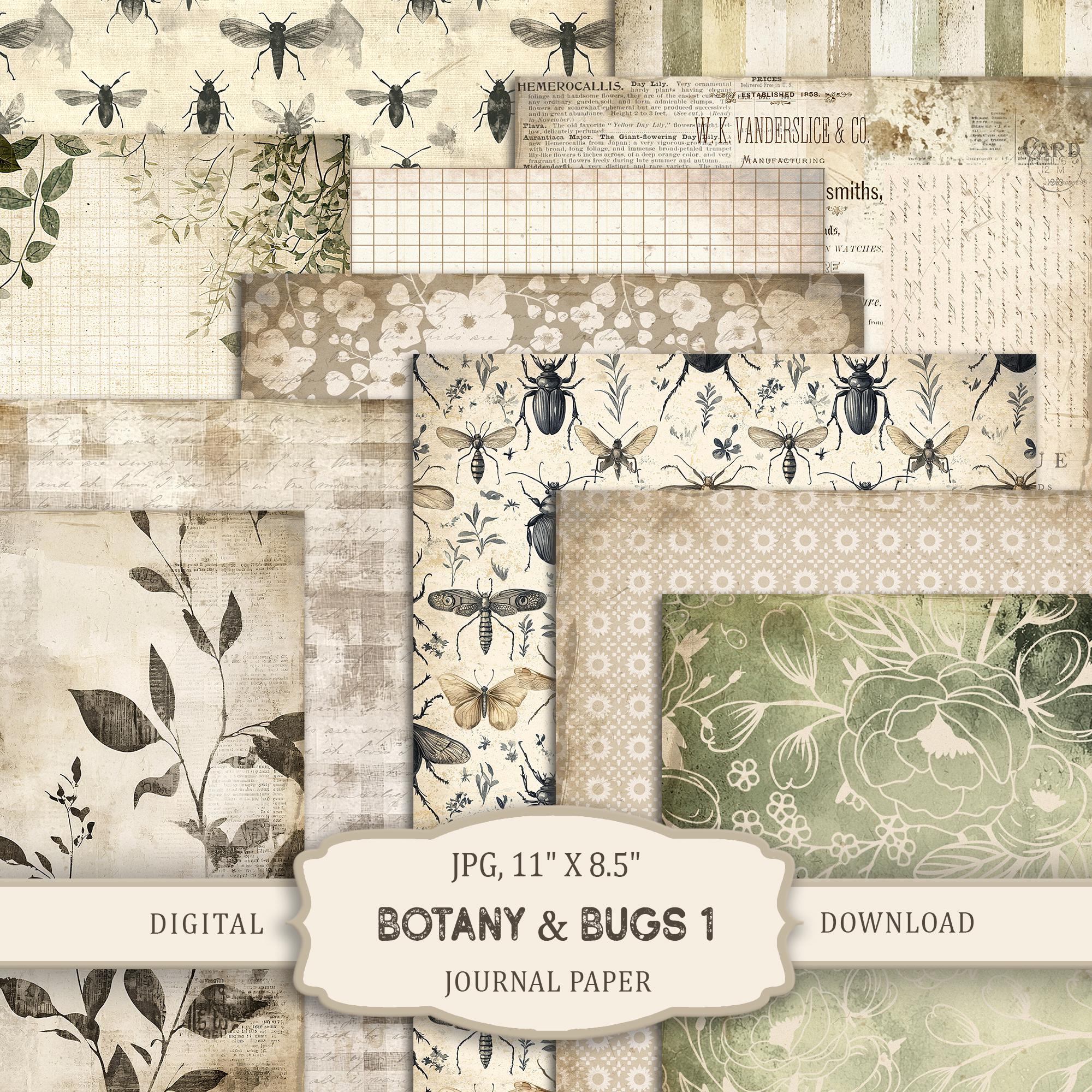 Botany & Bugs #1 Junk Journal Paper, Insects Scrapbooking, Botanical ...