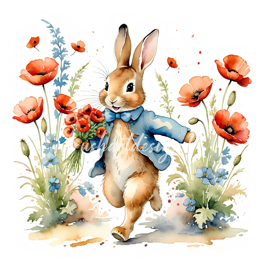 11 Peter Rabbit in Poppies Clipart, Beatrix Potter Style, Summer ...