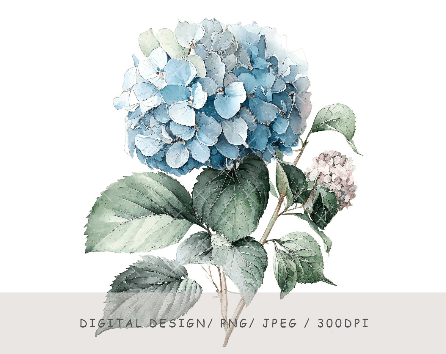 Hydrangea Print Blue Hydrangea Flower Drawing Hydrangea Wall - Etsy