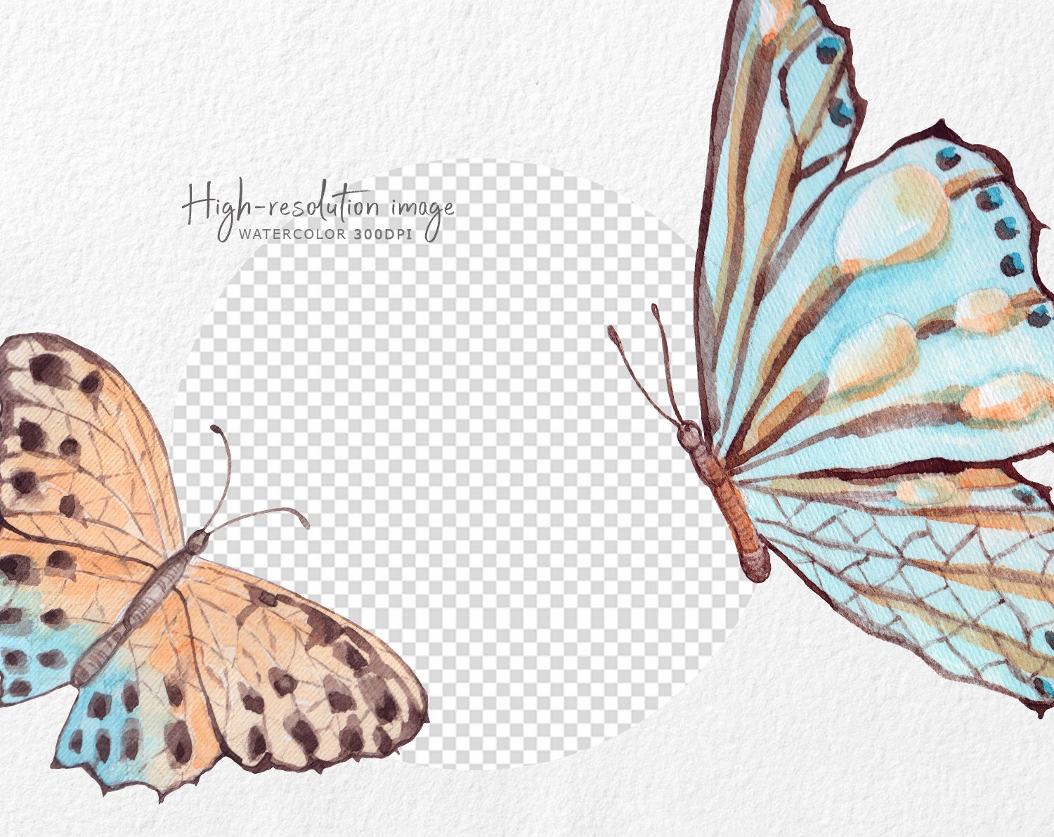 Butterfly Watercolor Clipart 10PNG Butterfly Set - Etsy