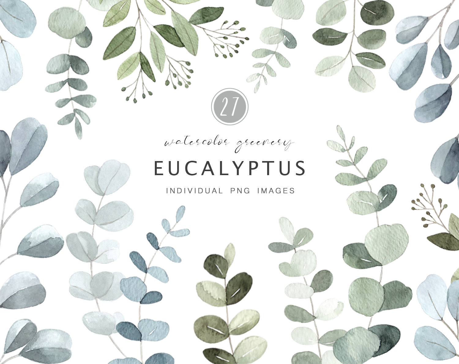 Watercolor Eucalyptus Clipart Greenery Clipart Floral - Etsy
