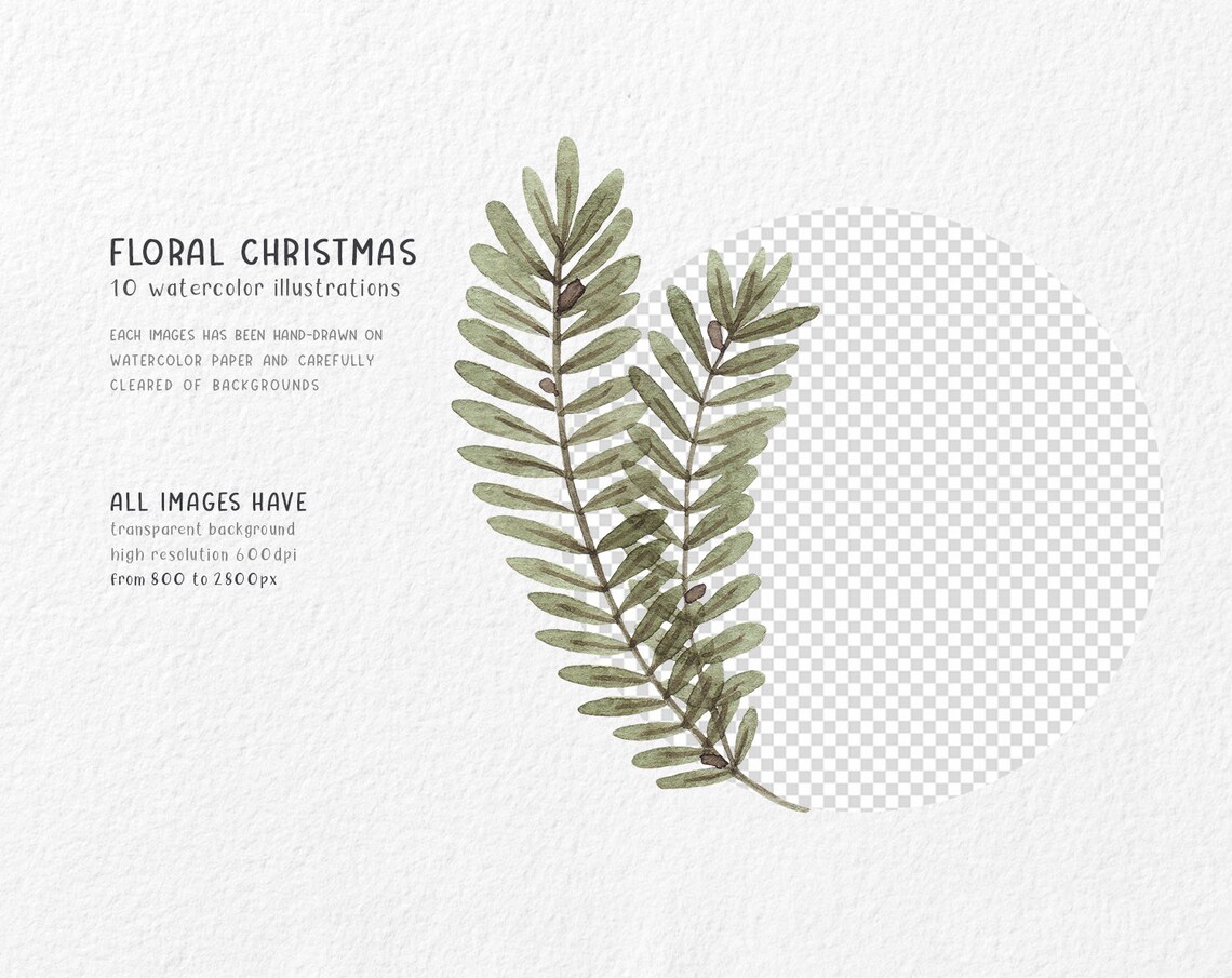 Christmas Floral Clipart Christmas Plants Mistletoe Clipart - Etsy