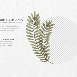 Christmas Floral Clipart, Christmas Plants, Mistletoe Clipart, Holly ...