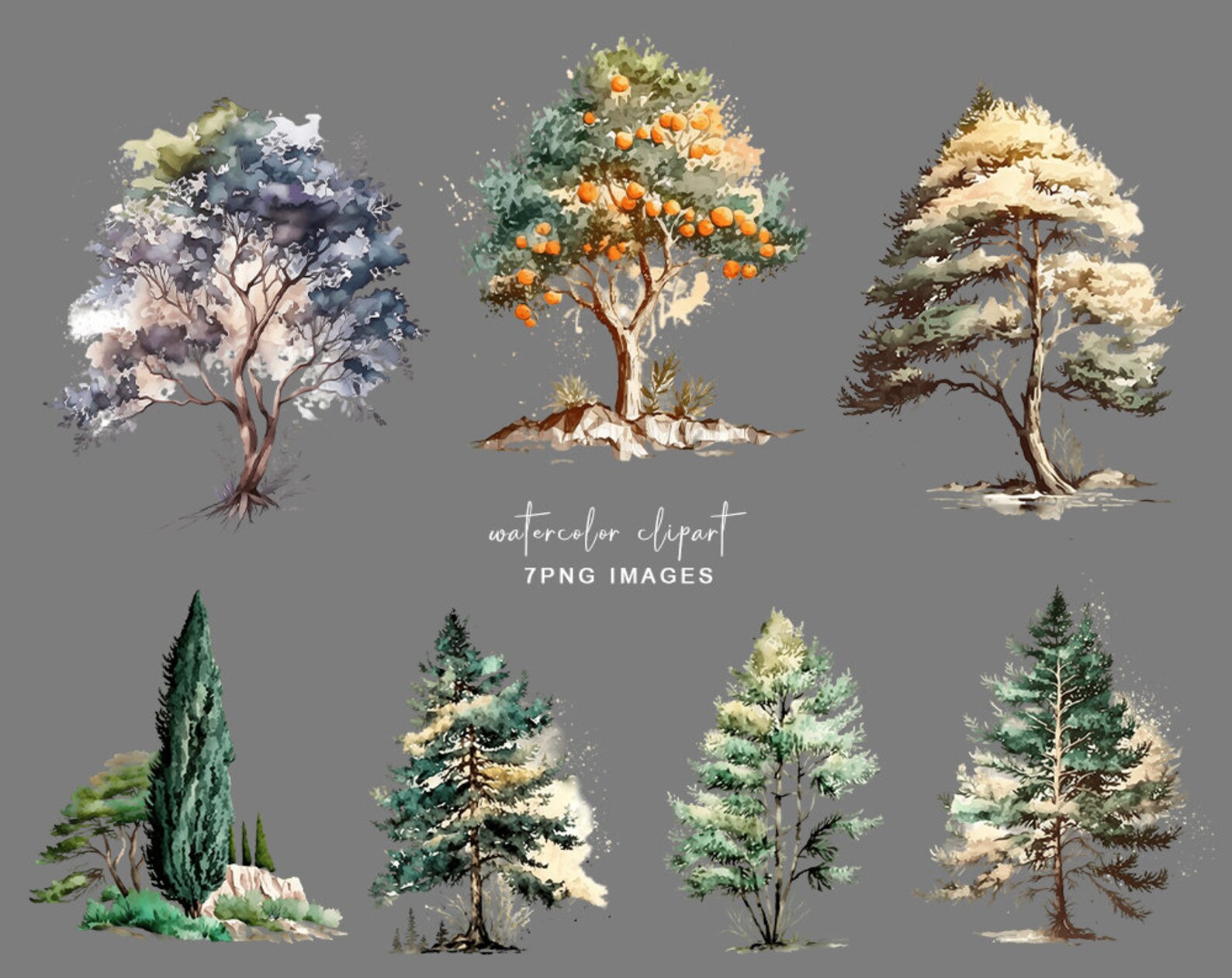 Watercolor Clipart Png Tree Vintage Tree Clipart Almond - Etsy Australia