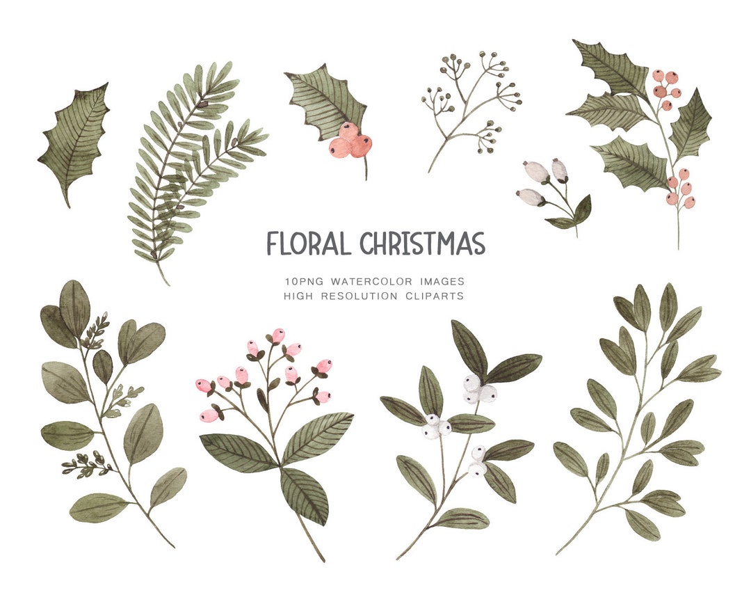 Christmas Floral Clipart, Christmas Plants, Mistletoe Clipart, Holly ...
