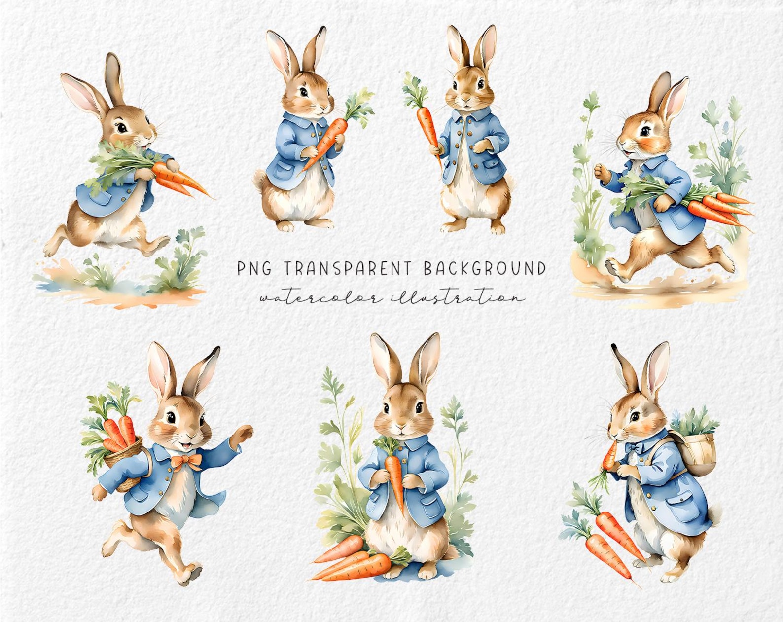 Peter Rabbit and Carrots Clipart- 12PNG, Beatrix Potter Style, Spring ...