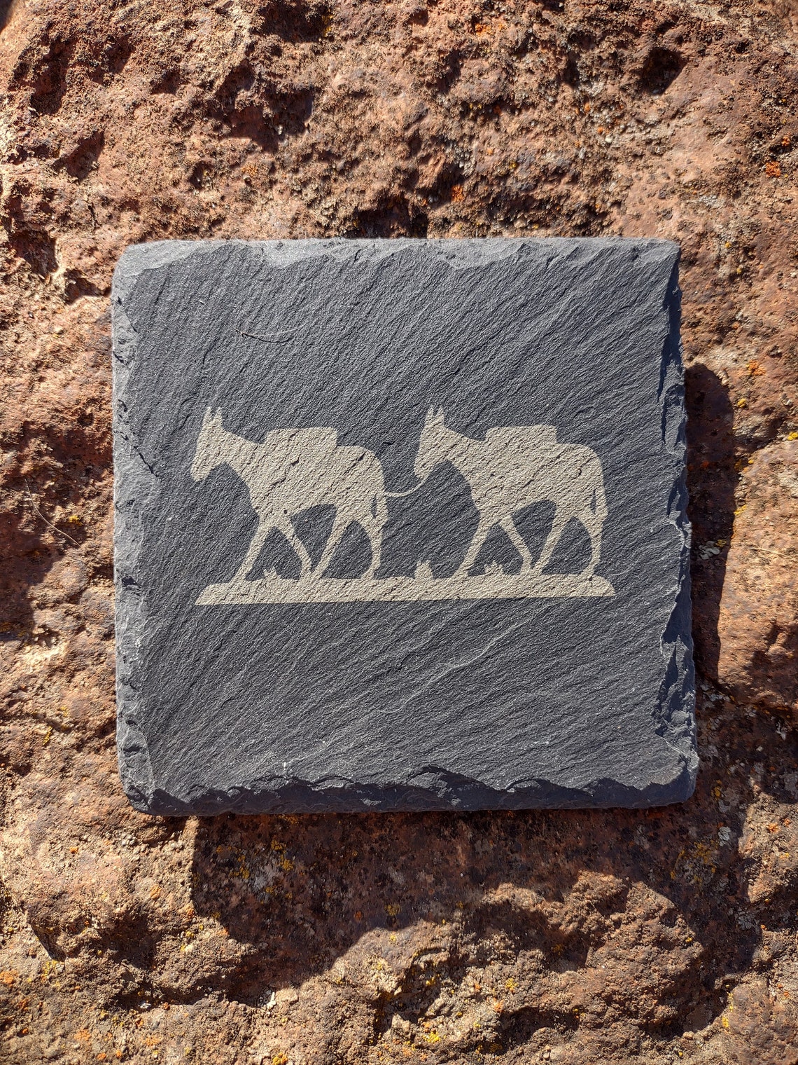 Small Mule Pack String Set | Laser Engraved Slate Coasters | Mule ...