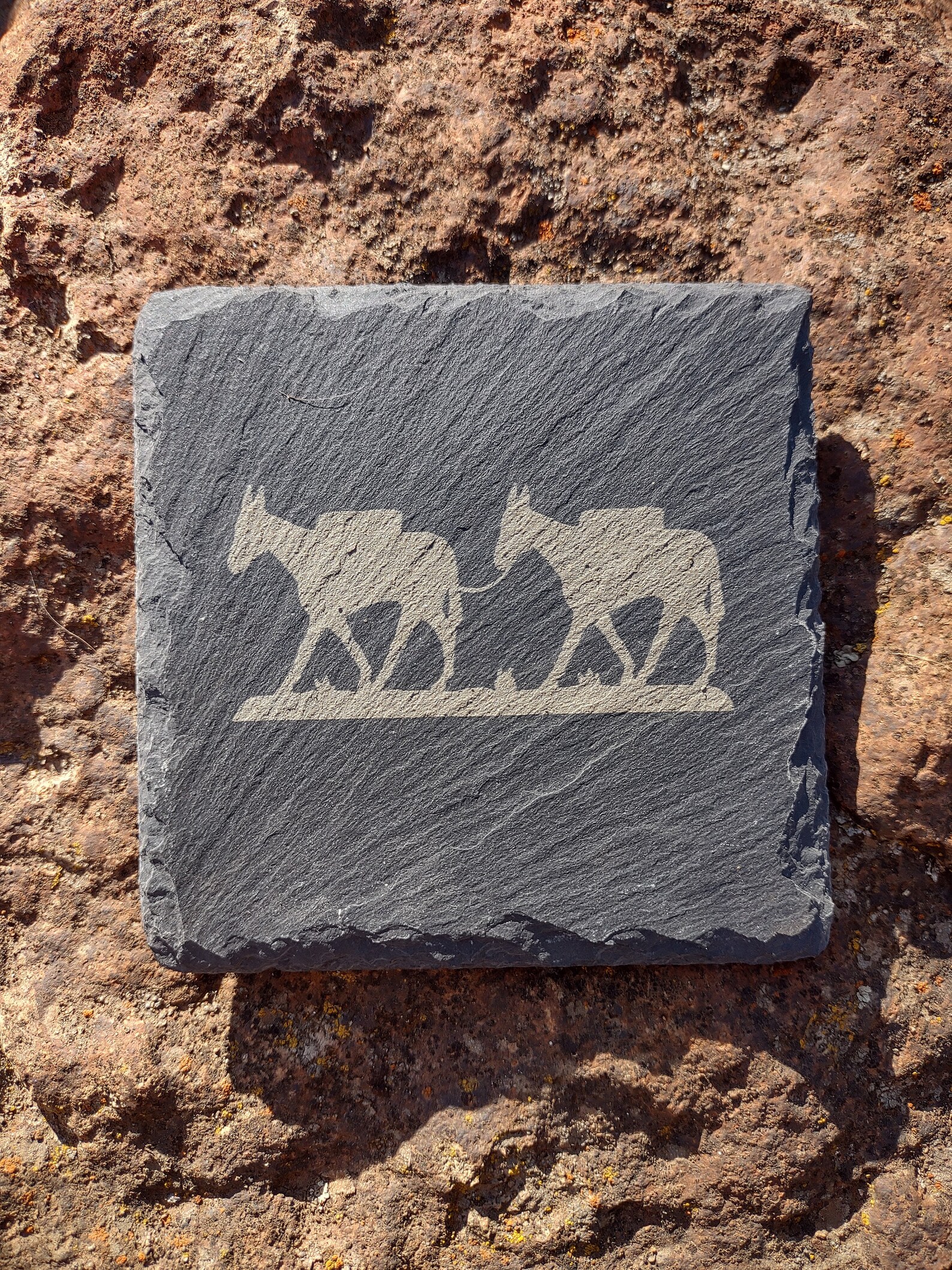 Small Mule Pack String Set | Laser Engraved Slate Coasters | Mule ...