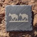 Small Mule Pack String Set | Laser Engraved Slate Coasters | Mule ...