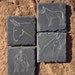 Outline Mule Set Laser Engraved Slate Coasters Mule & - Etsy