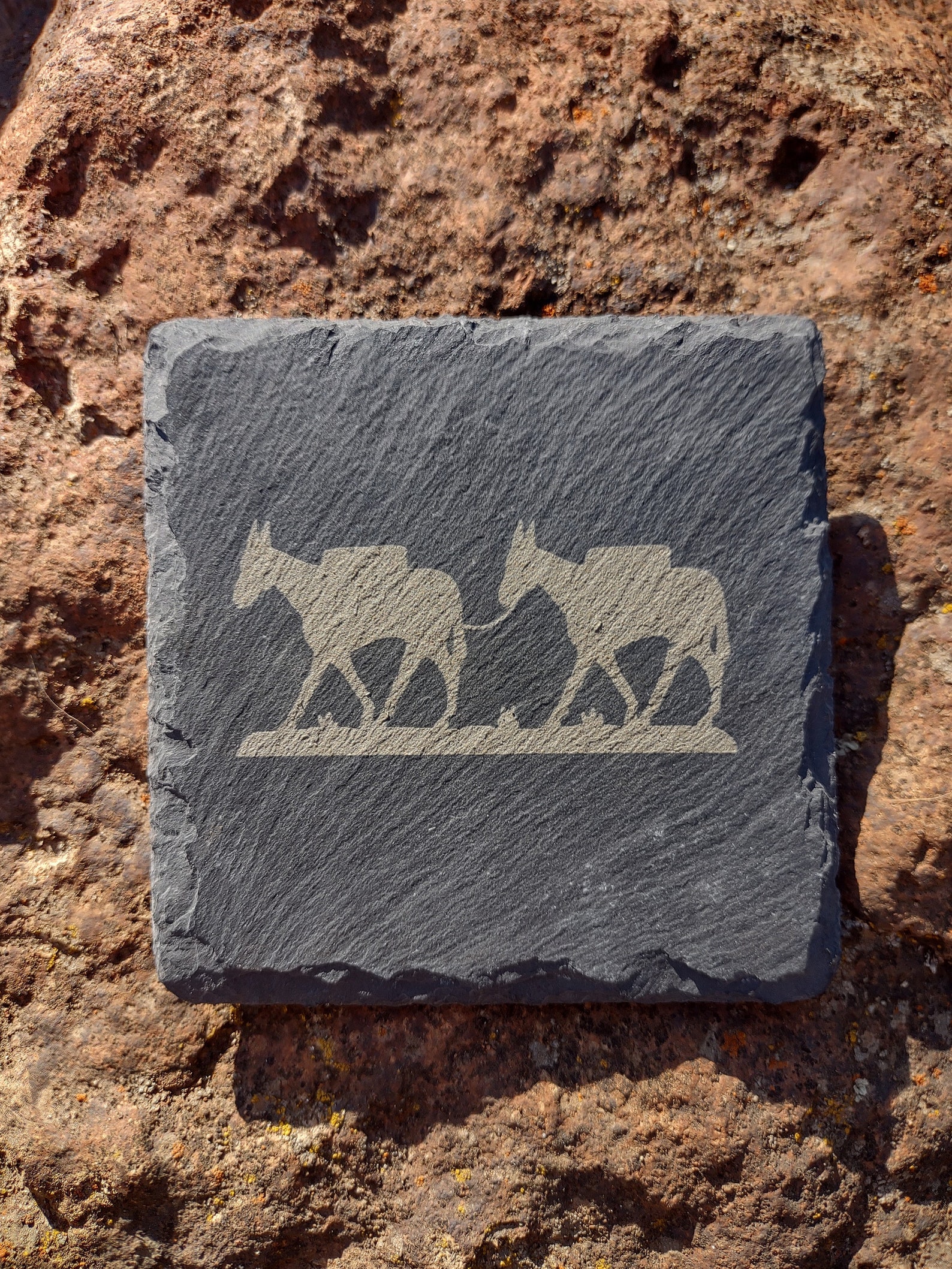 Small Mule Pack String Set | Laser Engraved Slate Coasters | Mule ...