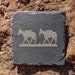 Small Mule Pack String Set | Laser Engraved Slate Coasters | Mule ...