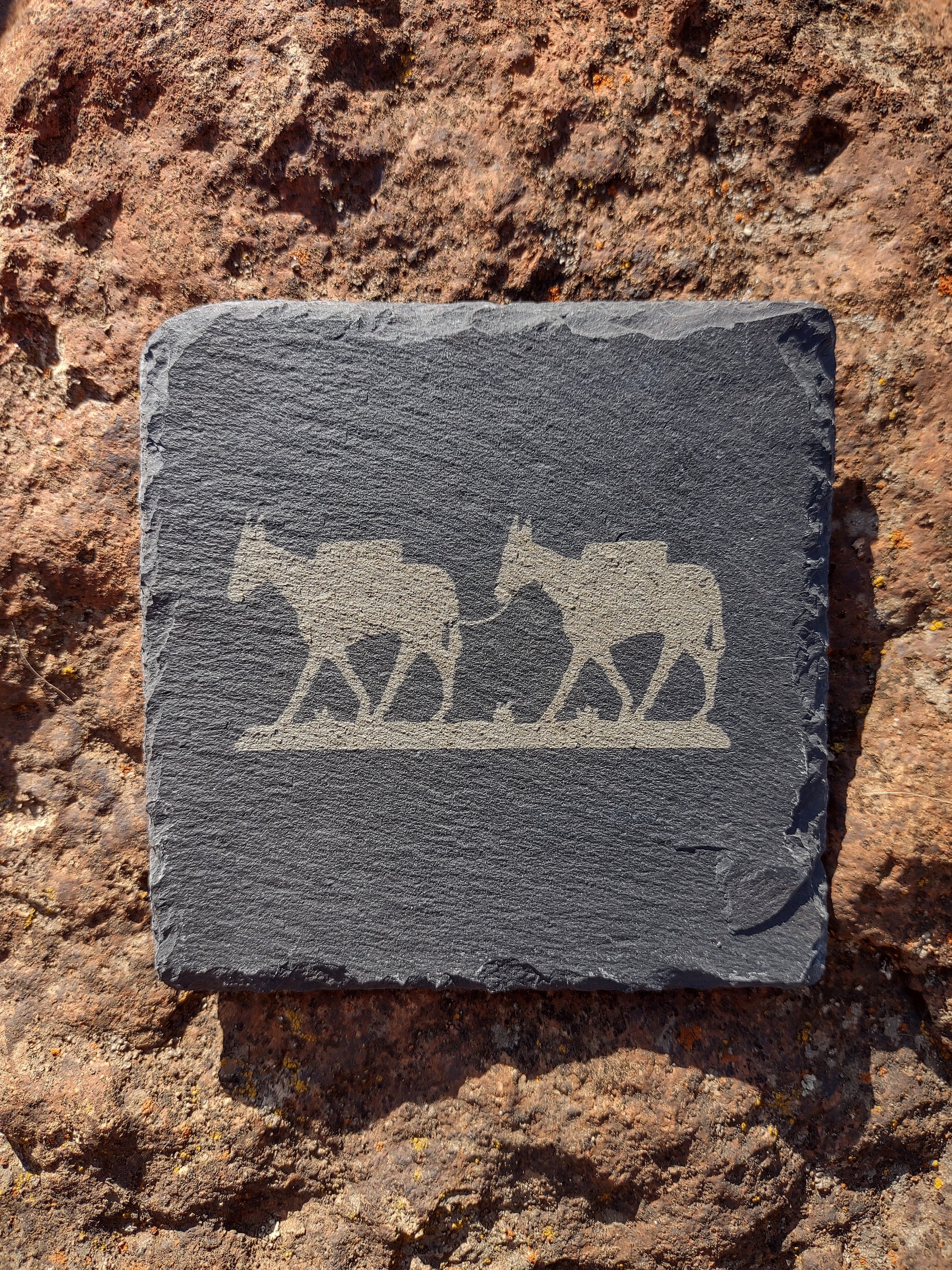 Small Mule Pack String Set | Laser Engraved Slate Coasters | Mule ...