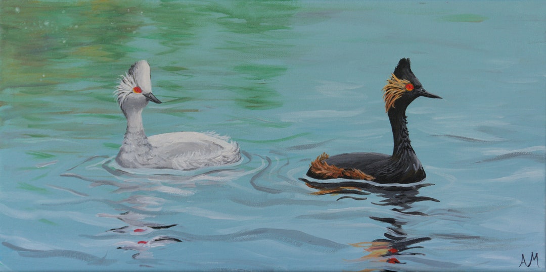 Eared Grebes Acrylic Painting 10x20 Stretched Canvas Original - Etsy