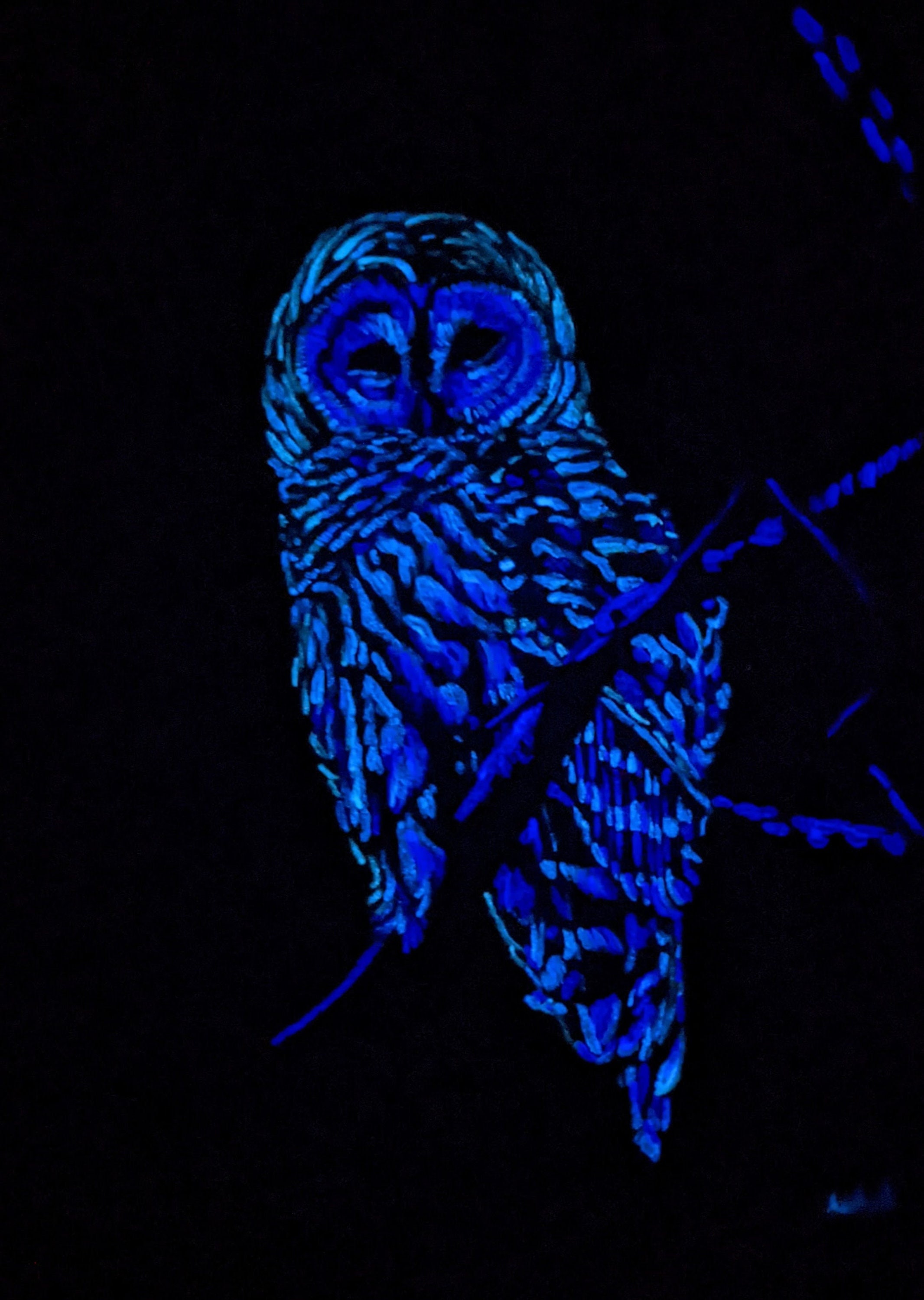 Owl Glow-in-the-dark Acrylic Painting 11x14 Stretched Canvas Original ...
