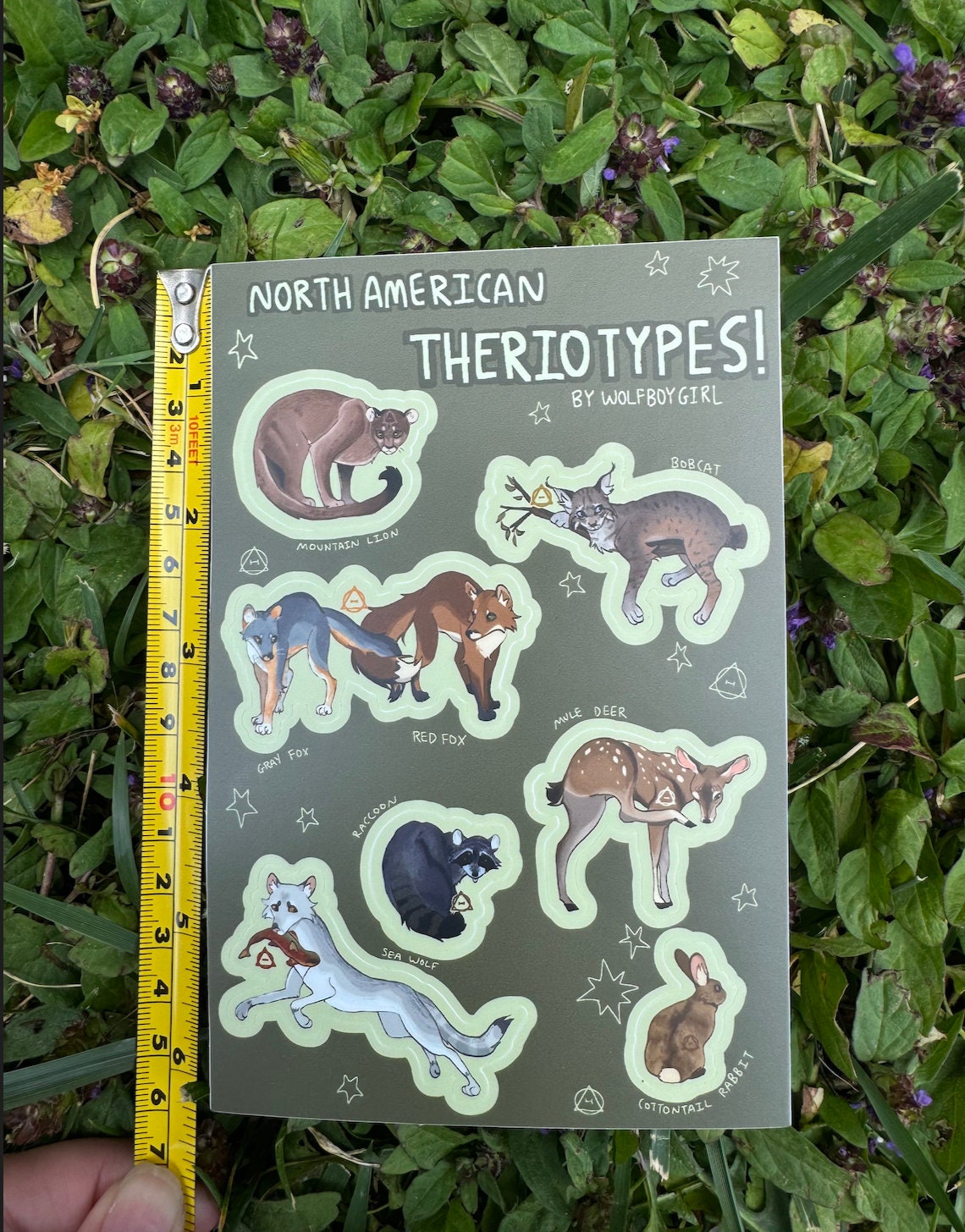 North American Theriotypes Sticker Sheet! Therians Nature Stickers - Etsy