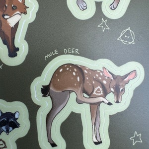 North American Theriotypes Sticker Sheet! Therians Nature Stickers - Etsy