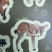 North American Theriotypes Sticker Sheet! Therians Nature Stickers - Etsy