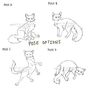 Custom Warrior Cats OC Ref Sheet Commissions! - Etsy